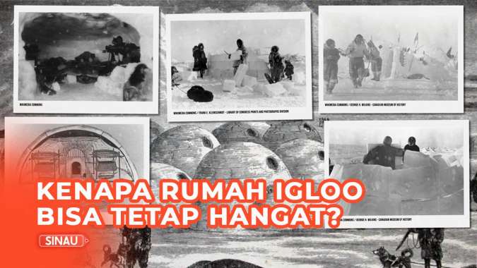 Rumah Igloo Khas Suku Eskimo Terbuat dari Salju, Kenapa Bisa Tetap Hangat?
