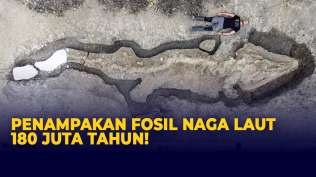 Penampakan Fosil Naga Laut Raksasa 180 Juta Tahun Lalu di Inggris!