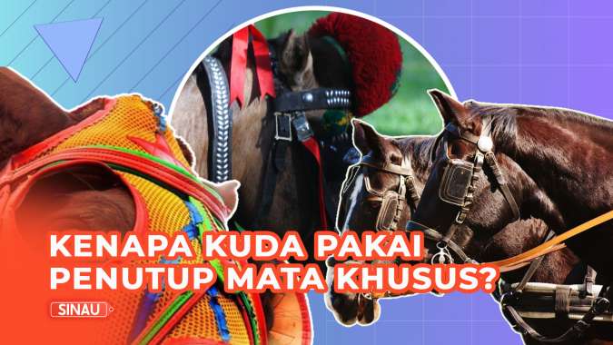 Ternyata Ini Alasan Kenapa Kuda Pakai Kacamata saat Menarik Delman