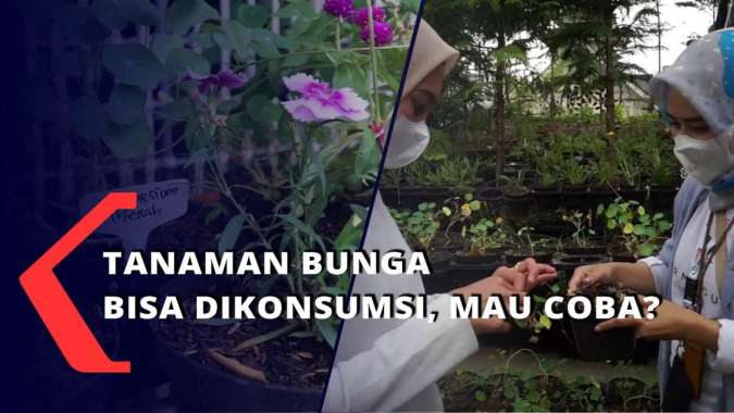Pasar Bunga di Lembang Menjual Bunga Bisa Dikonsumsi