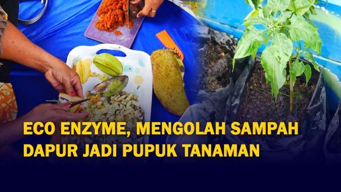 Eco Enzyme, Mengolah Sampah Dapur Menjadi Pupuk Tanaman
