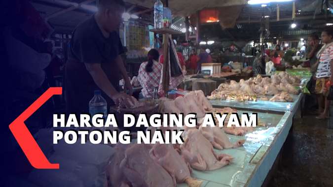 Ini Alasan Naiknya Harga Daging Ayam Potong Di Pasar Remu Sorong