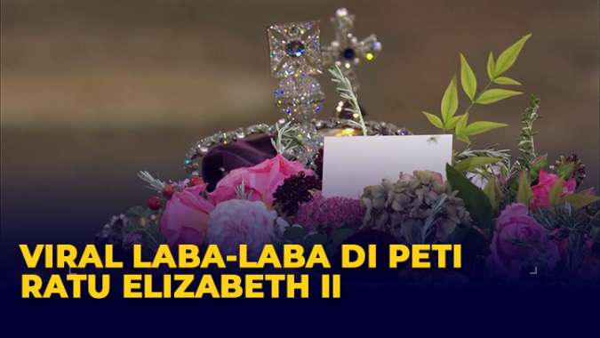Viral Laba-laba Hinggap di Peti Ratu Elizabeth II, Netizen: Beri ...