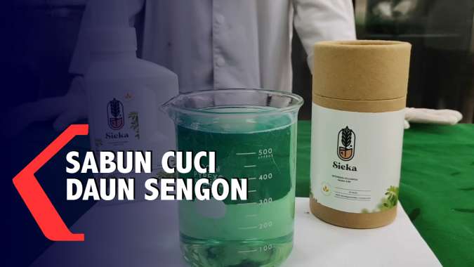 Sabun Cuci Dari Daun Sengon