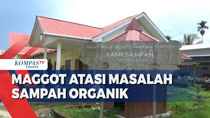 Bank Sampah Gunakan Metode Maggot Mengurai Sampah Organik