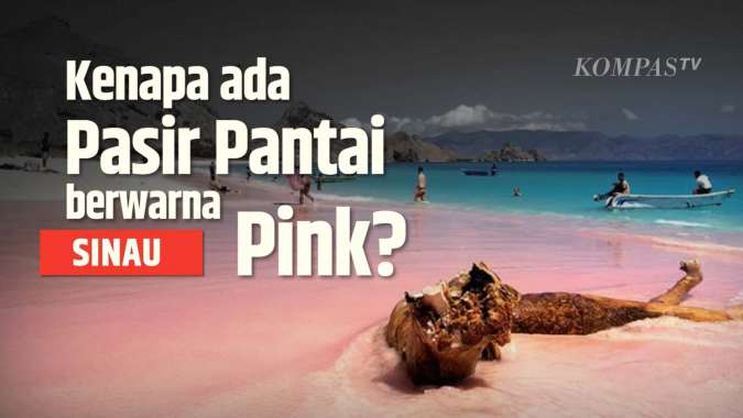 Mengapa Pasir Pantai di Labuan Bajo Bisa Berwarna Pink?| SINAU
