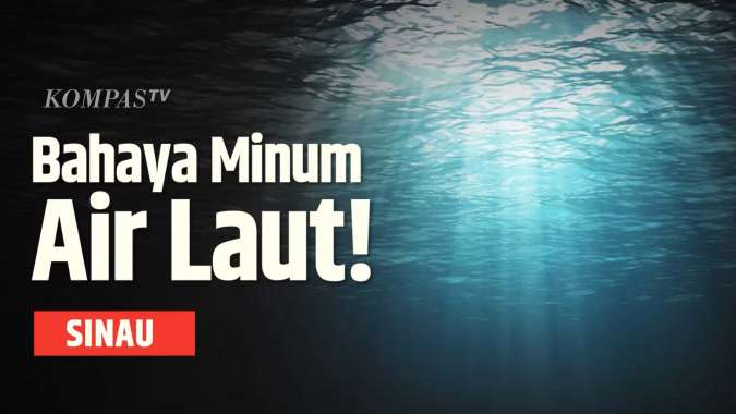 Dampak Membahayakan Meminum Air Laut bagi Tubuh Manusia| SINAU