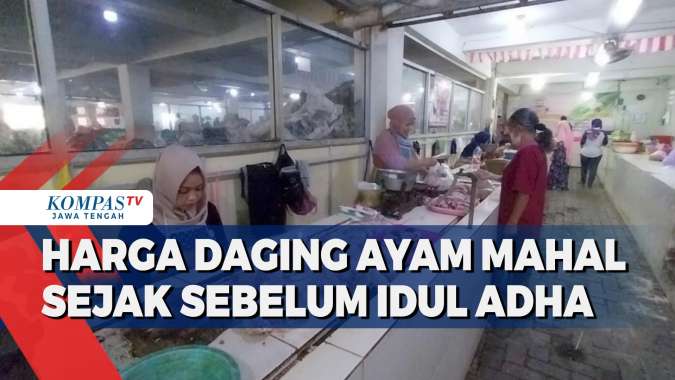 Harga Daging Ayam Mahal Sejak Sebelum Idul Adha