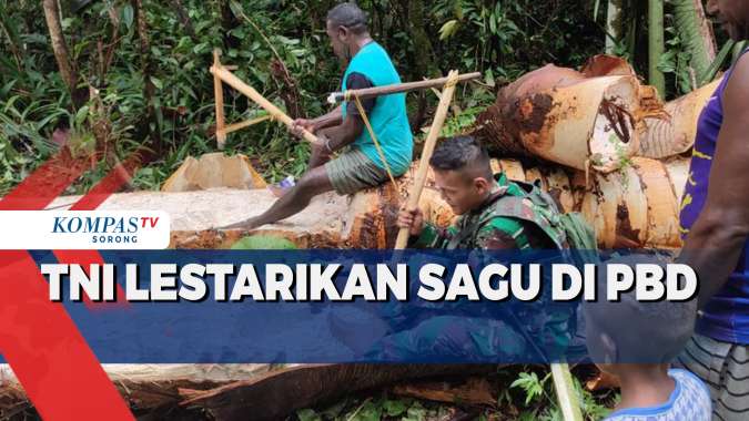 TNI dan Warga Panen Sagu di Papua Barat Daya