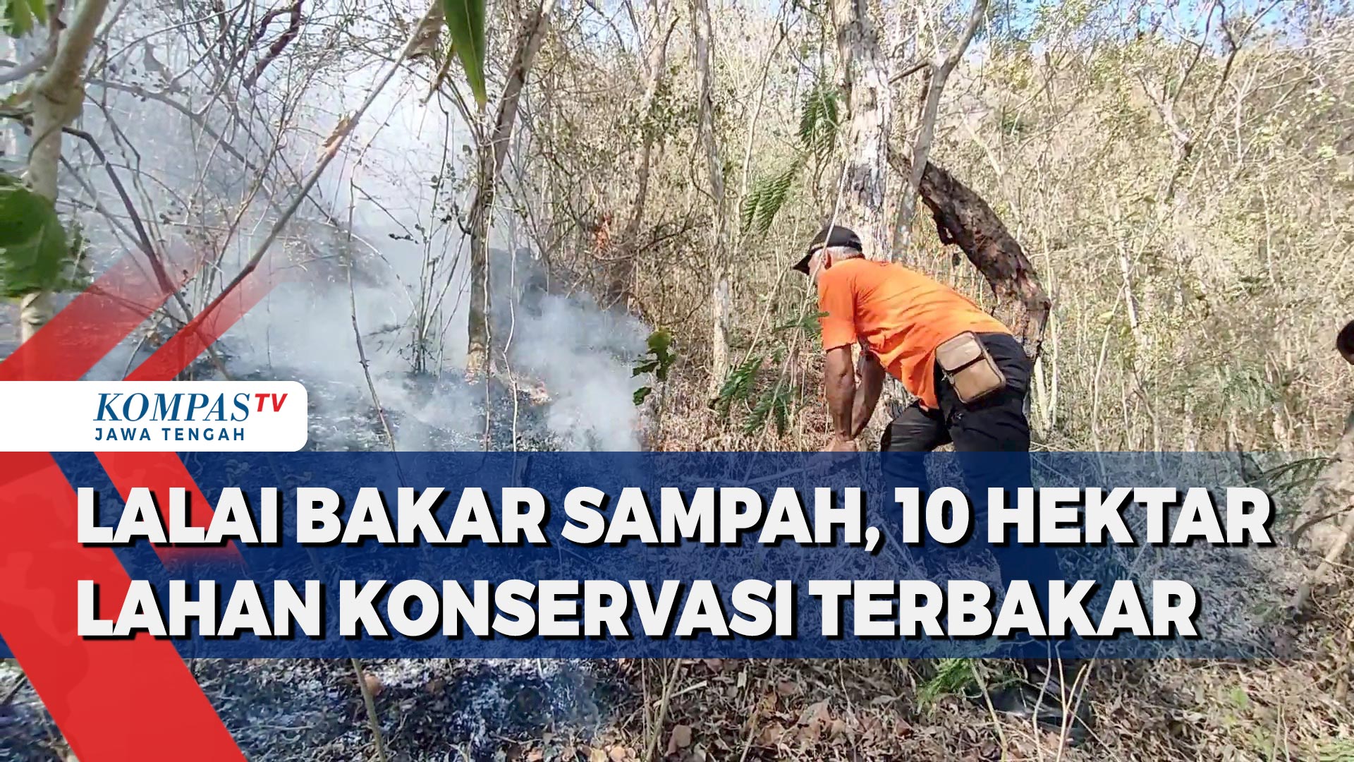 Video: Lalai Bakar Sampah, 10 Hektar Lahan Konservasi di Kulon Progo Terbakar