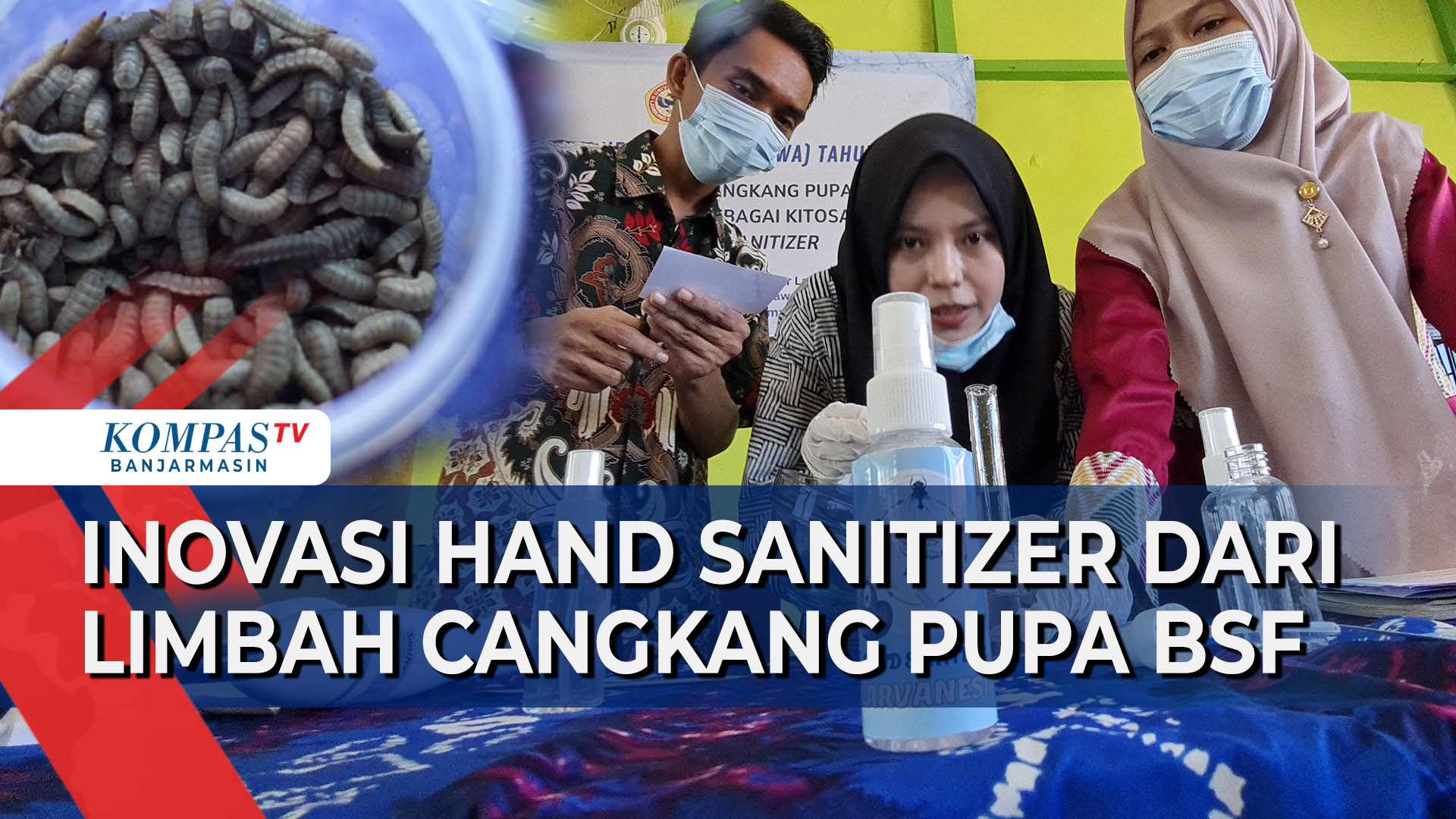 Video: Inovasi Hand Sanitizer dari Limbah Cangkang Pupa BSF ...