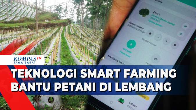 Petani Di Kawasan Desa Cibodas, Mulai Beralih Ke Smart Farming