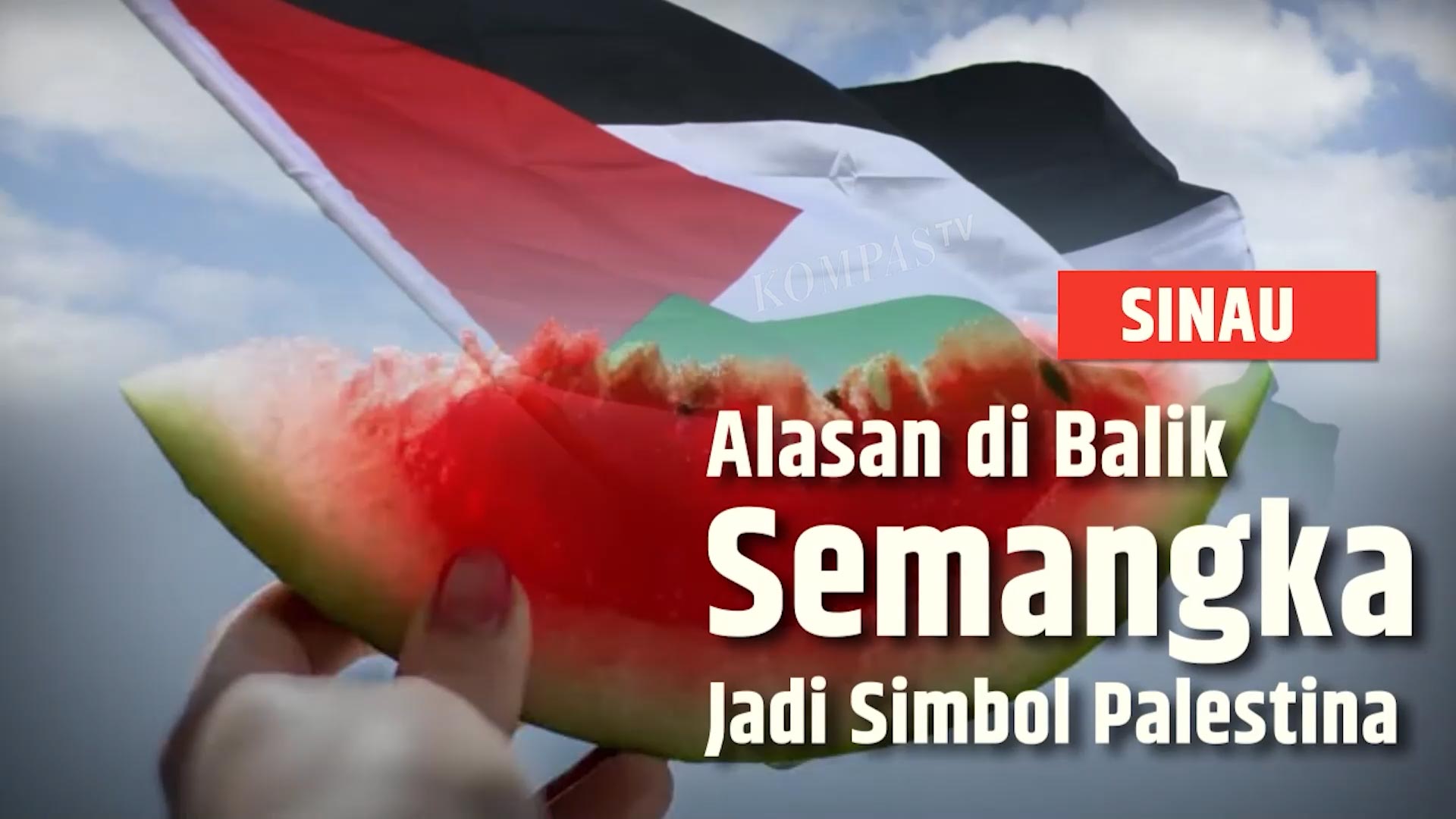 Video: Ini Asal-usul Semangka Jadi Simbol Solidaritas Dukungan untuk ...