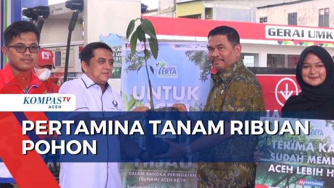 DLHK dan Pertamina Tanam 19 Ribu Bibit Pohon di Aceh