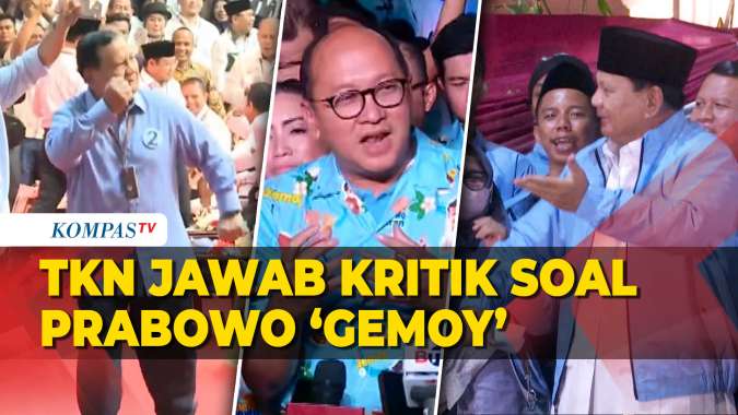 TKN Jawab Kritik Prabowo Hanya Andalkan 'Gemoy' di Pilpres 2024