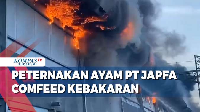 Peternakan Ayam PT Japfa Comfeed Kebakaran