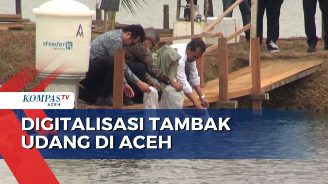 Efishery Gandeng Kemenkominfo Digitalisasi Tambak Udang di Aceh
