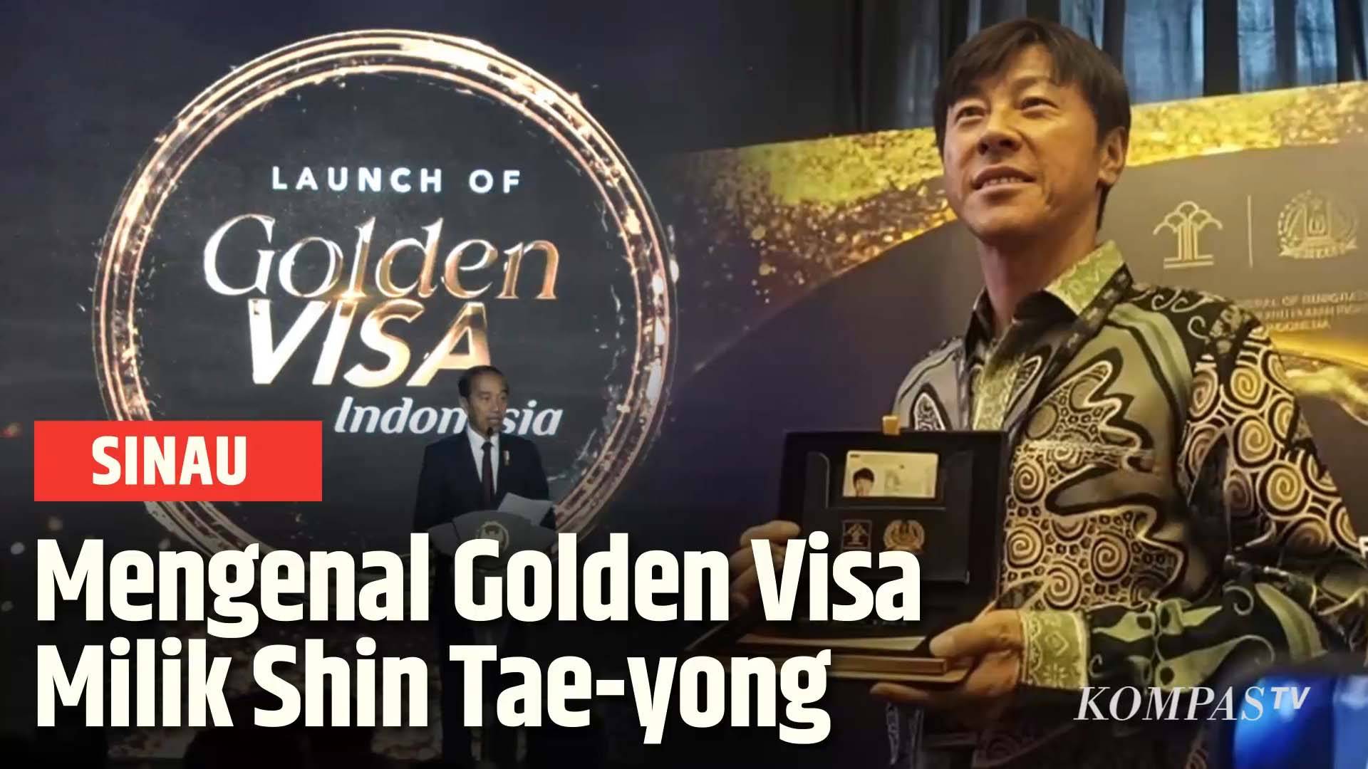 Video: Presiden Jokowi Beri Shin Tae-yong Golden Visa, Ternyata Ini ...