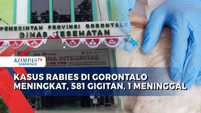 Rabies di Gorontalo Meningkat Hingga Mencapai 581 Kasus Gigitan, 1 ...