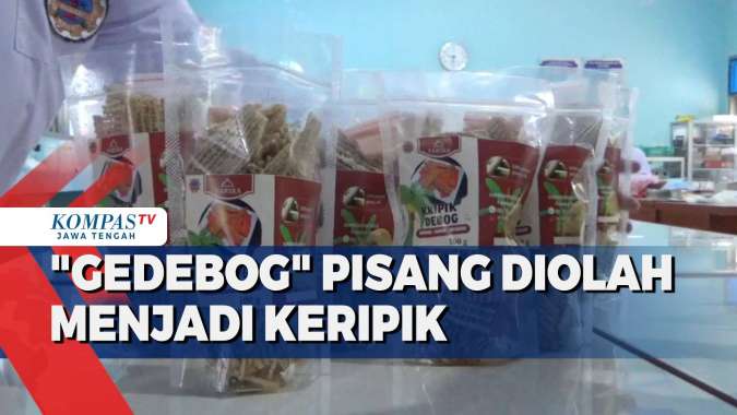 Gedebog Pisang Diolah Menjadi Keripik
