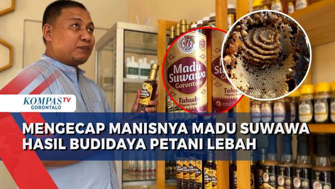 Kisah Pelaku UMKM Produk Madu Murni di Gorontalo Hingga Menembus Pasar ...