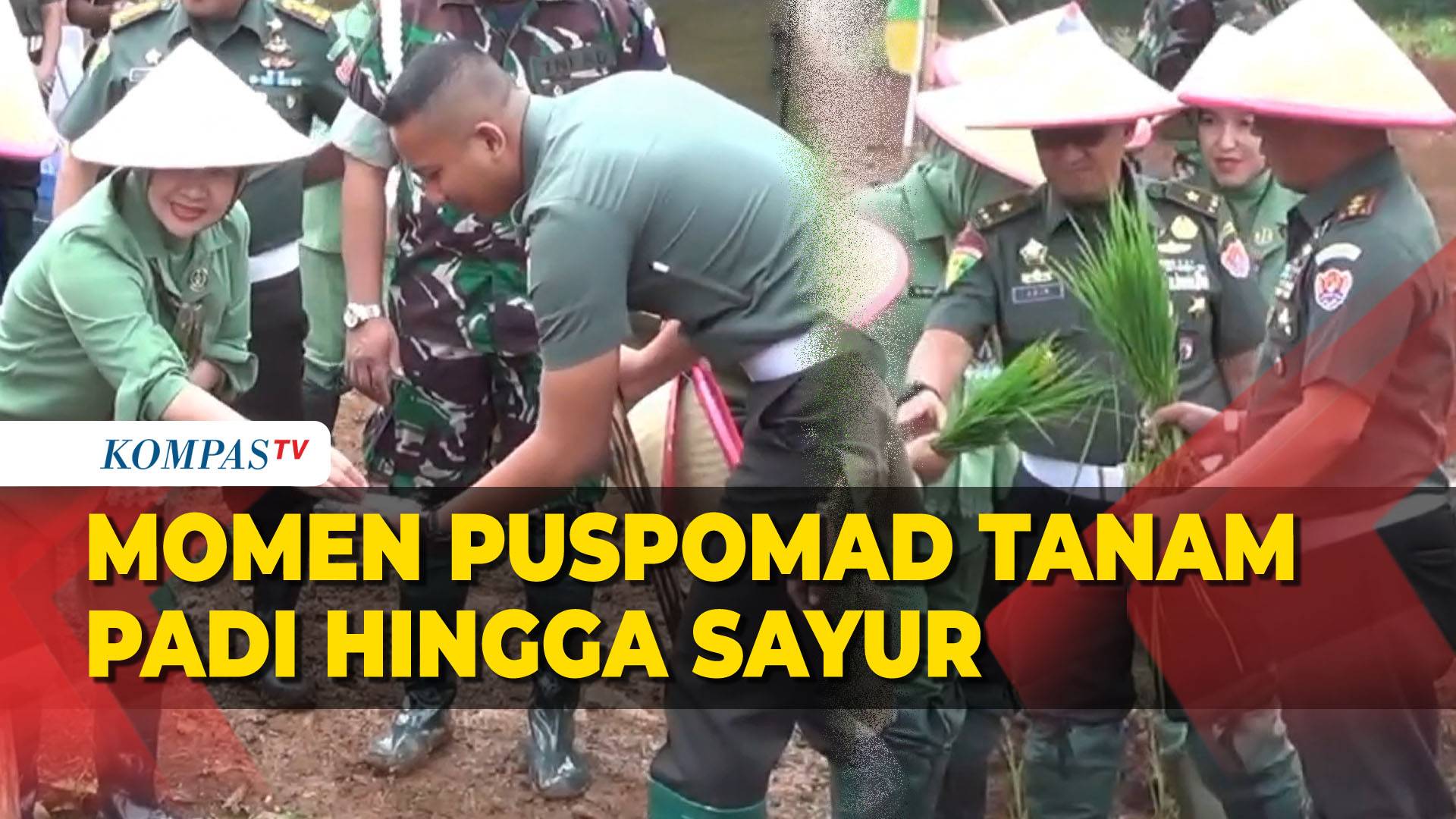Video: Puspomad Tanam Padi hingga Sayur untuk Dukung Swasembada Pangan