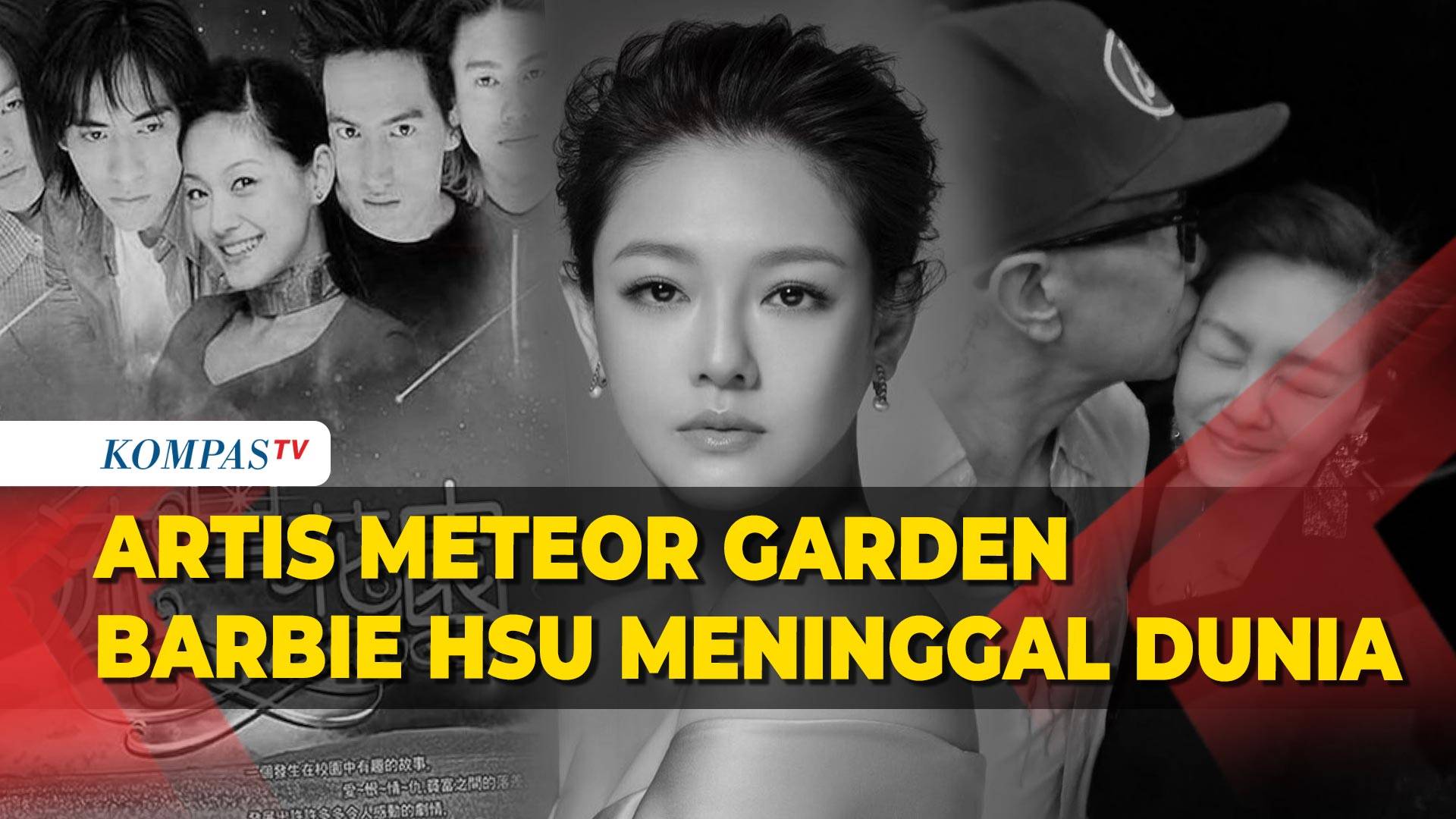Video: Barbie Hsu Pemeran Shancai Meteor Garden Meninggal Dunia pada ...