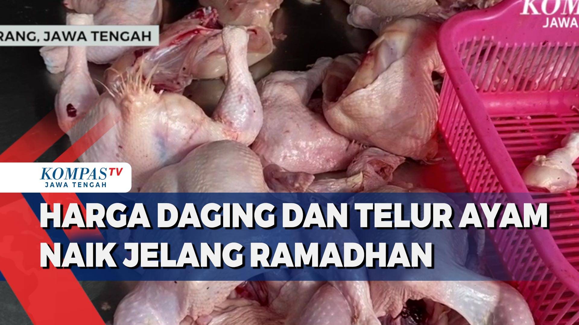 Video: Harga Daging dan Telur Ayam Naik Jelang Ramadan