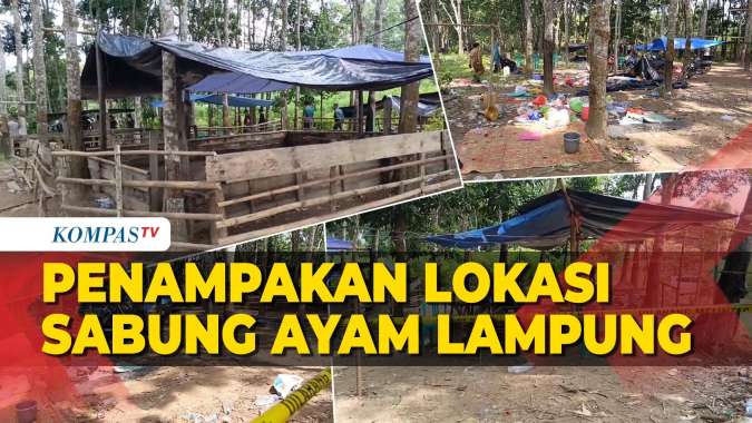 Beginilah Penampakan Lokasi Sabung Ayam Lampung yang Sebabkan Anggota TNI Tembak Polisi di Lampung