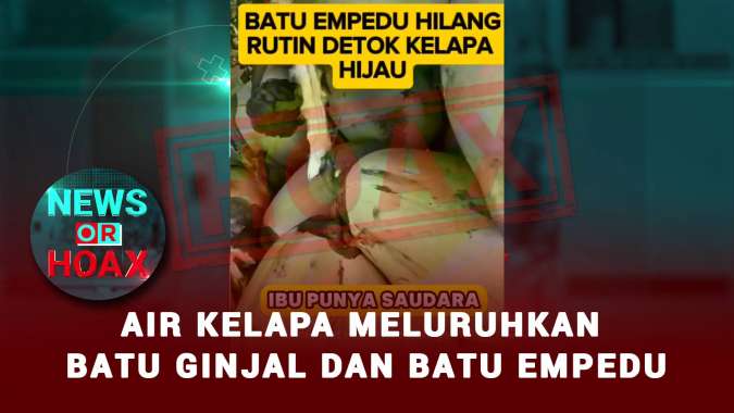 Hoax Air Kelapa Meluruhkan Batu Ginjal Dan Batu Empedu | NEWS OR HOAX