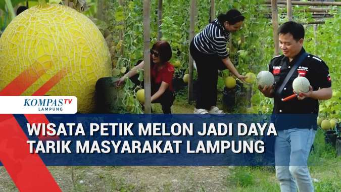 Petik Melon Jadi Daya Tarik Masyarakat Lampung