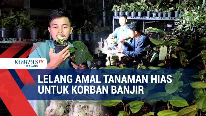 Penghobi Tanaman Hias Gelar Lelang Amal untuk Korban Banjir Sumatera