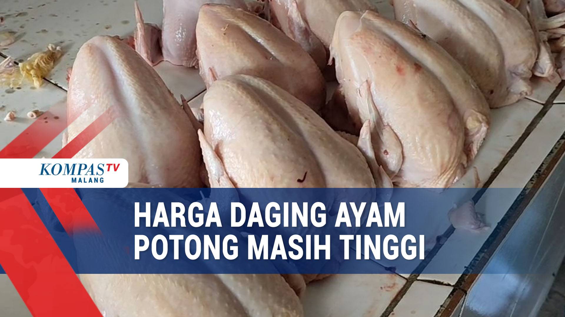 Video: Awal Tahun 2026, Harga Daging Ayam Potong Masih Mahal