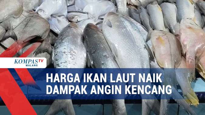 Dampak Angin Kencang, Harga Ikan Laut di Pasaran Melonjak
