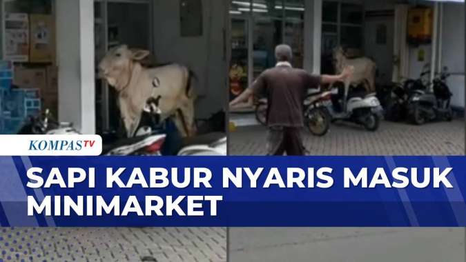 Bikin Panik! Sapi Kurban di Pasar Hewan Ngamuk Nyaris Masuk Minimarket ...