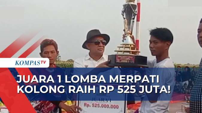 Lomba Merpati Kolong Digelar di Kabupaten Tegal, Total Hadiah Capai Rp1 ...