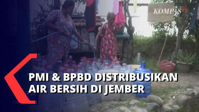 Kekeringan di Jember Meluas, PMI dan BPBD Jember Terus Distribusikan Air Bersih untuk Warga