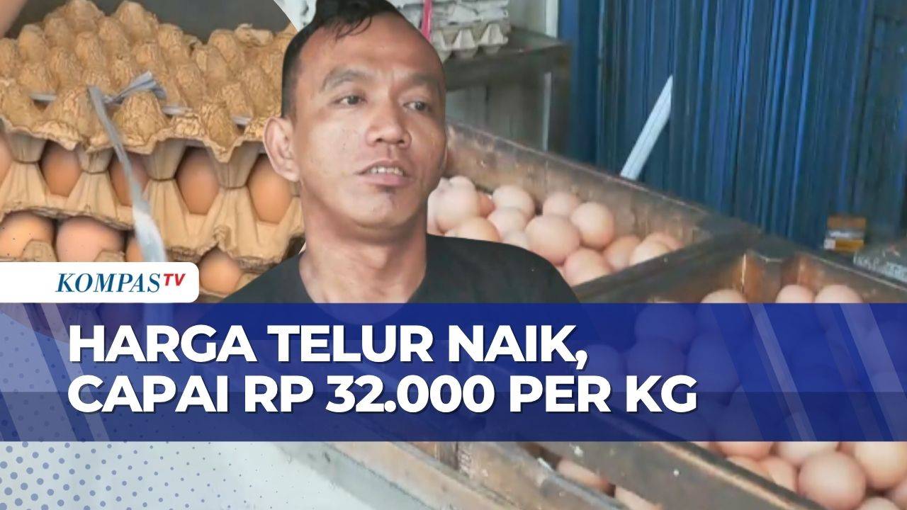 Video: Kenaikan Harga Telur di Sejumlah Daerah, Pedagang Menduga Karena ...