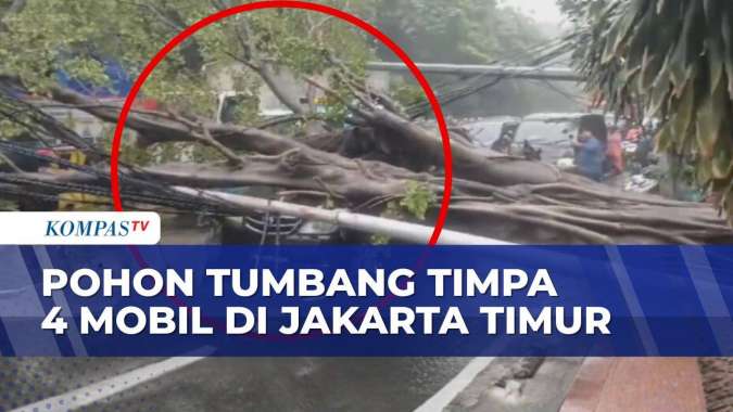 Pohon Tumbang Timpa 4 Mobil di Jatinegara Jakarta Timur, Sebabkan ...