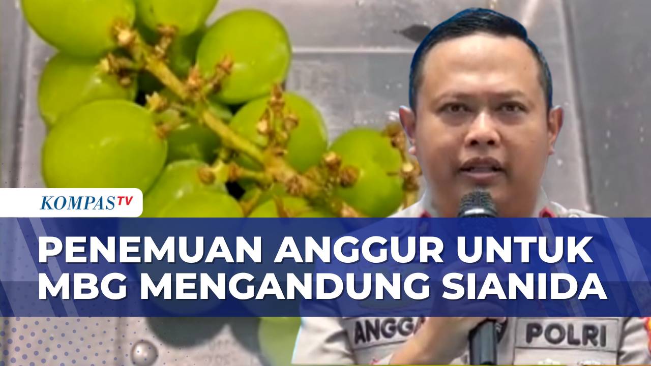 Video: SPPG Polres Sukoharjo Temukan Buah Anggur untuk MBG Mengandung ...