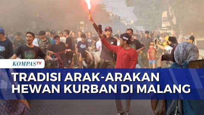 Tradisi Arak-arakan Hewan Kurban Meriahkan Idul Adha di Malang | KOMPAS ...