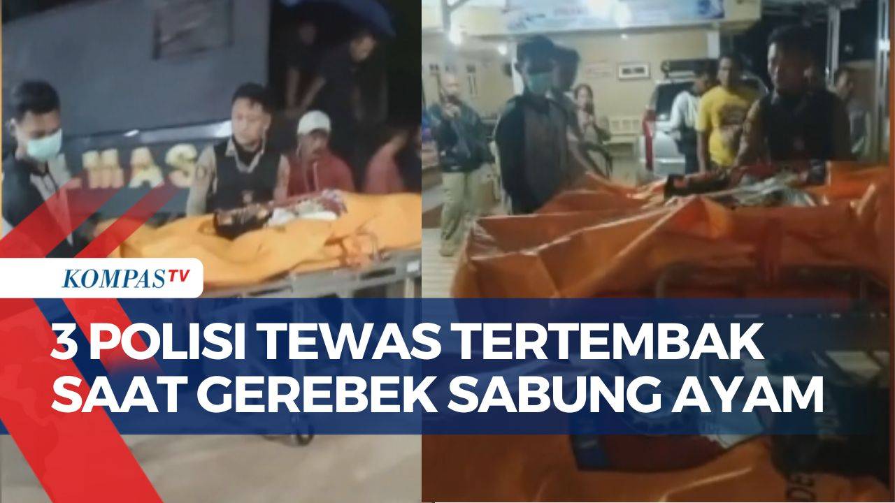 Video: BREAKING NEWS! 3 Polisi Tewas Tertembak saat Gerebek Judi Sabung Ayam di Lampung
