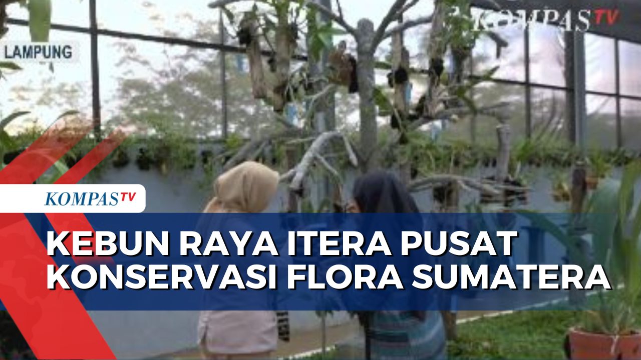 Video: Edukasi dan Eksplorasi Flora Sumatera di Kebun Raya ITERA