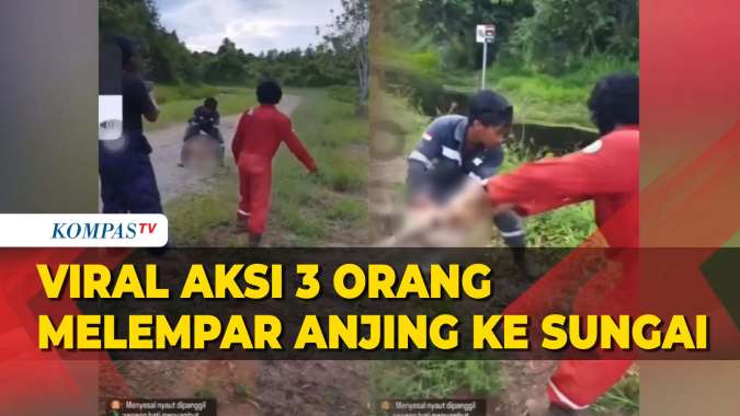 Viral Aksi 3 Orang Melempar Anjing ke Sungai di Nunukan, Animal Hope ...