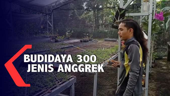 Pemuda Sukses Budidaya Anggrek Beromzet Puluhan Juta Rupiah