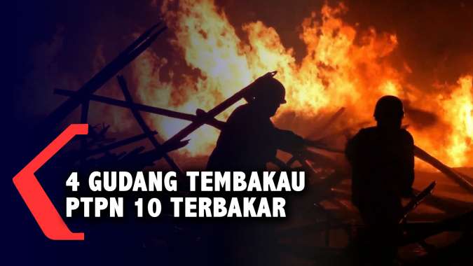 4 Gudang Pengeringan Tembakau Milik PTPN 10 Terbakar, Kerugian 400 Juta