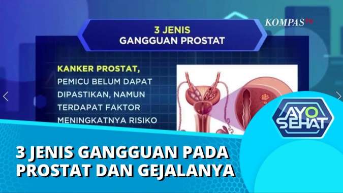 Berikut 3 Jenis Gangguan Pada Prostat Beserta Gejala yang Muncul | AYO ...