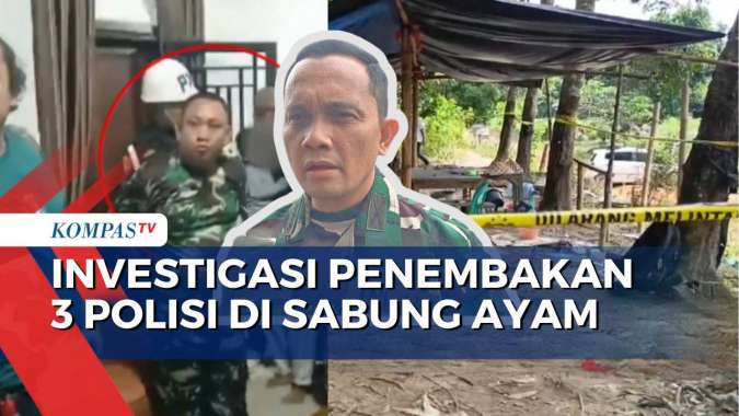 Investigasi Penembakan 3 Polisi Oleh TNI, Ada Dugaan Bekingi Judi Sabung Ayam?
