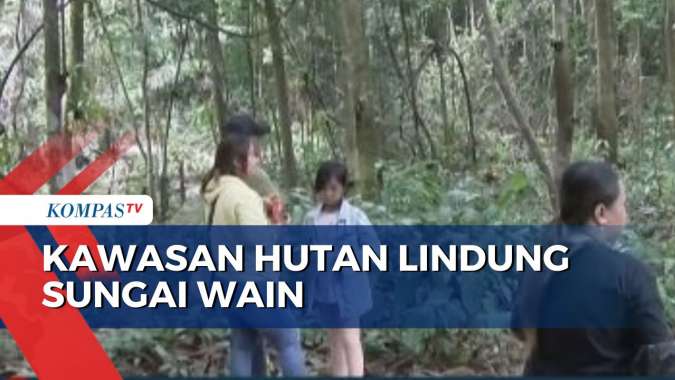 Kawasan Hutan Lindung Sungai Wain, Wisata Alam Dekat Kota Balikpapan