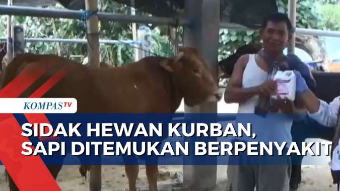 Menjelang Hari Raya Idul Adha, DKPP Kota Blitar Temukan Sejumlah Sapi ...